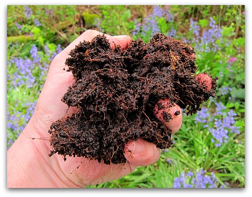 Vermiculture and Vermicomposting Eco Friendly Toilet Plans : One Community